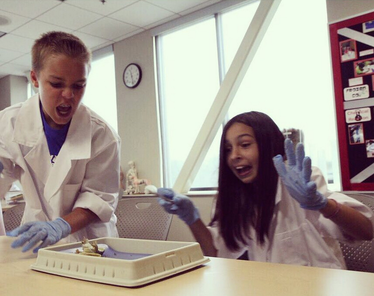 Silly faces for some serious dissection! - Newsfeed
