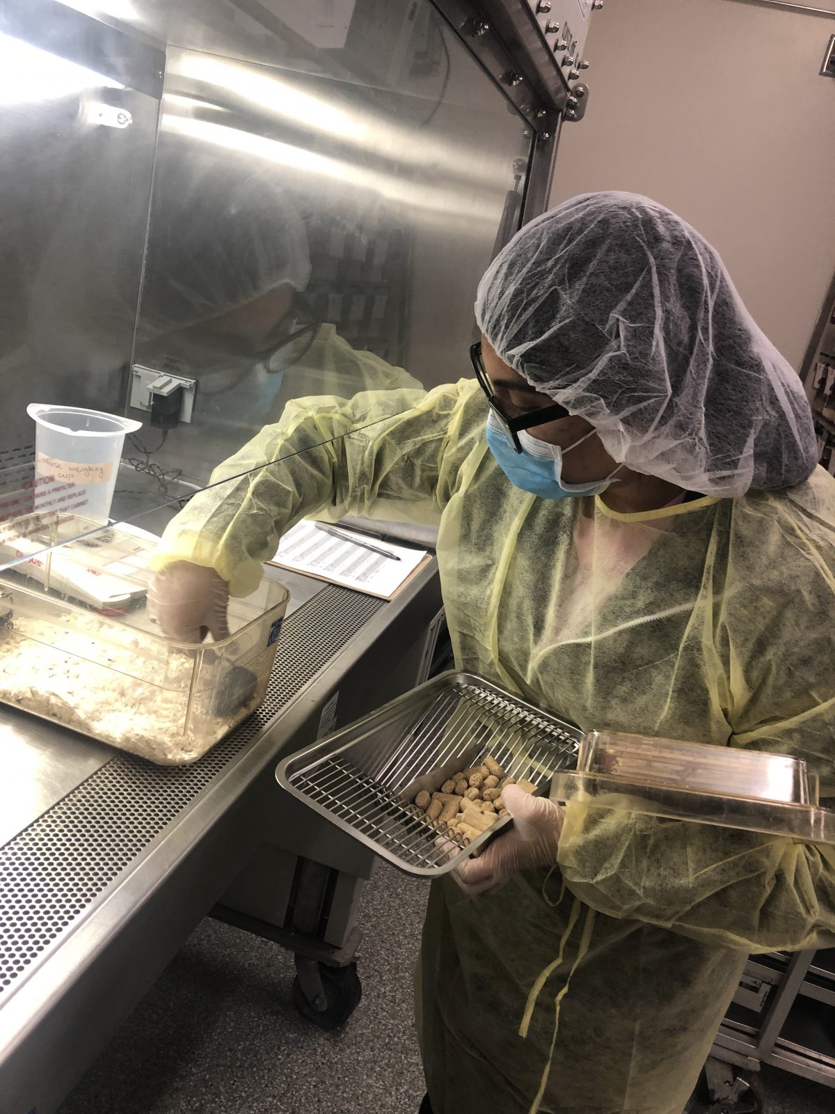 TGR Learning Lab Student Spotlight: My path toward a career in STEM ...